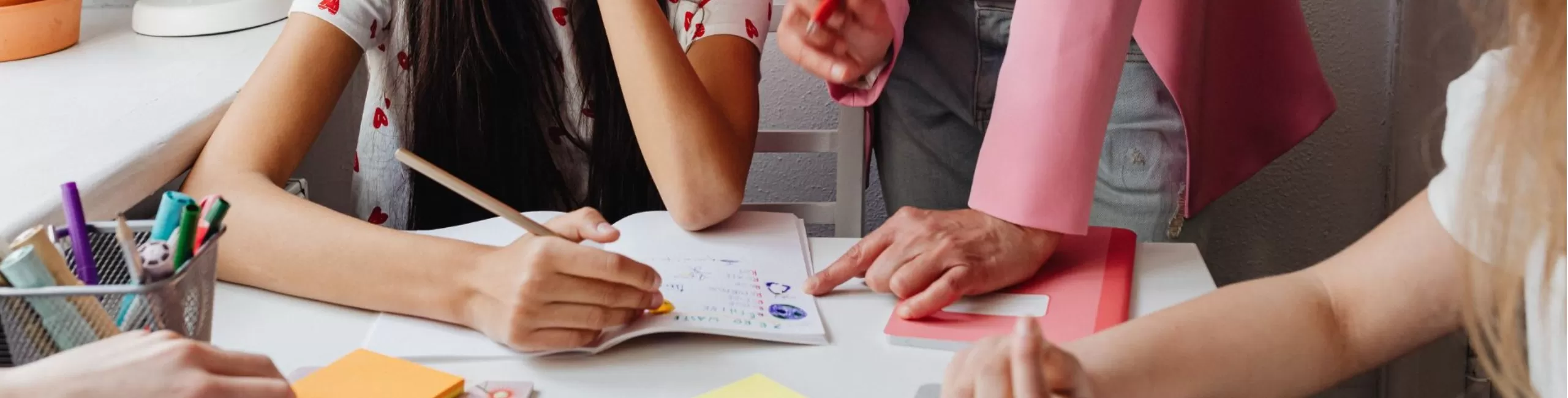 Nova Training | Search